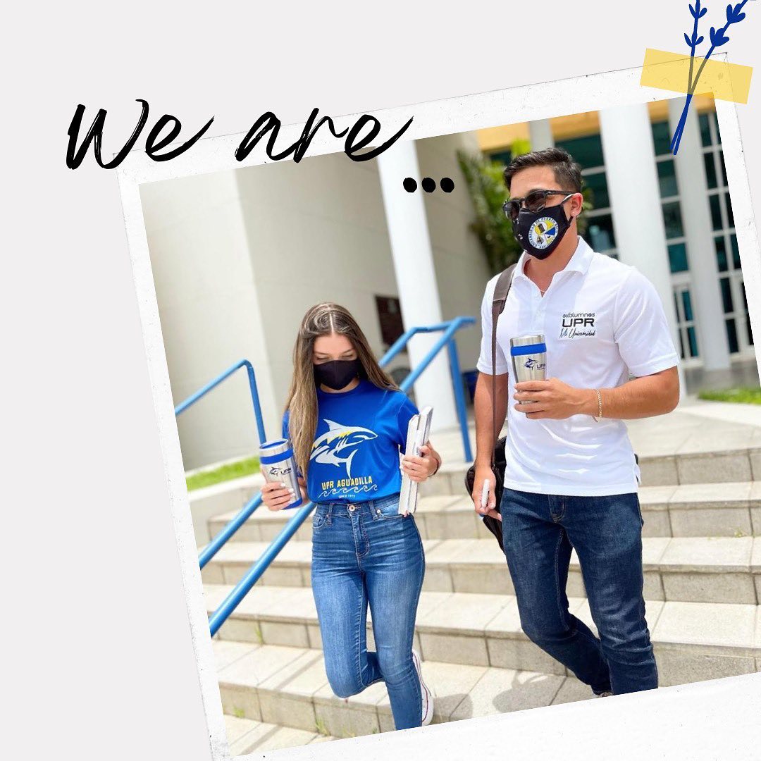 Shark Zone Shop UPRAg